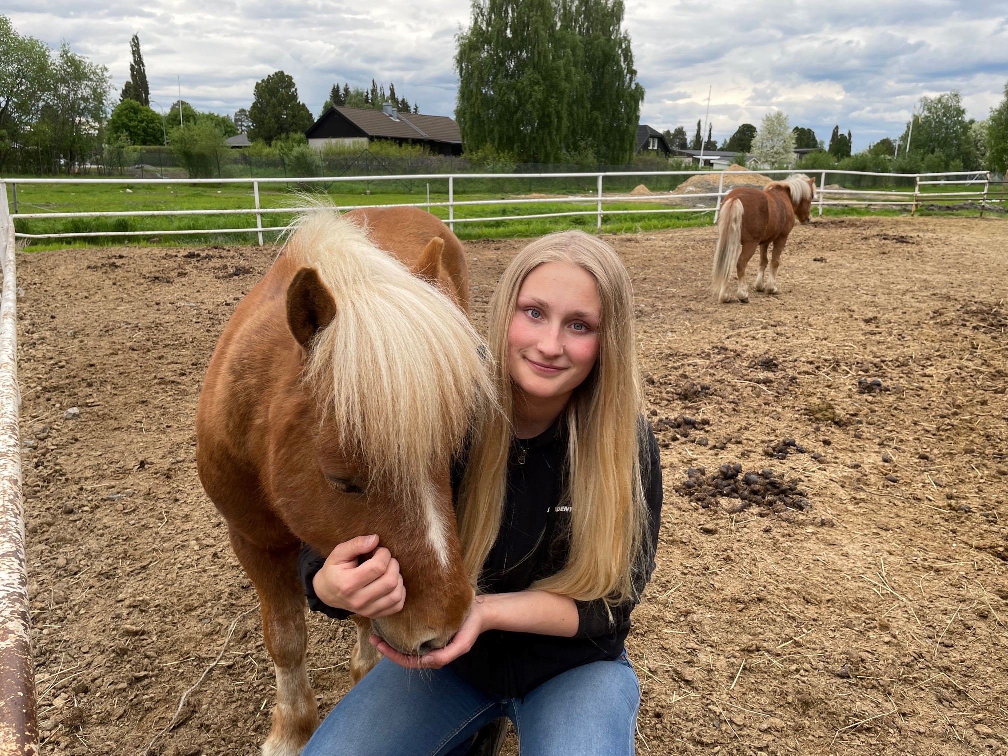 Om Boden Travskola - Bodentravet